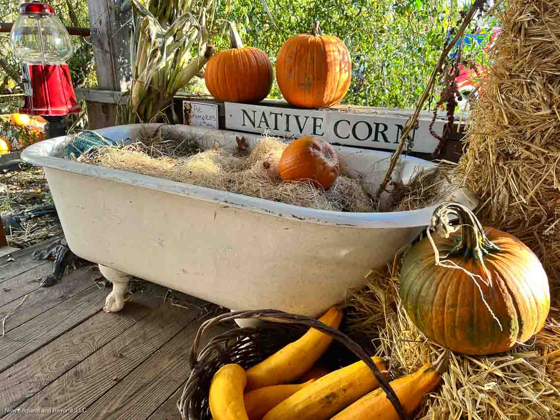 13 Reasons Why Cape Ann is Better Than Cape Cod
